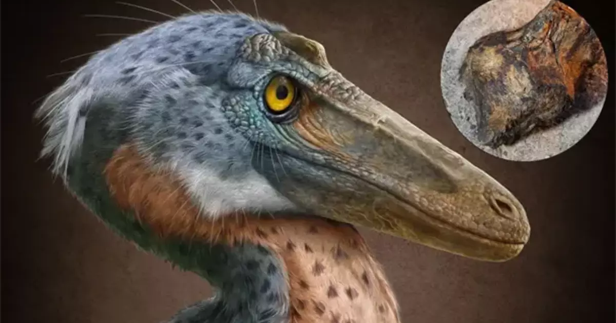 El "Cazador Extraño" de México: un raptor que peleaba a cabezazos